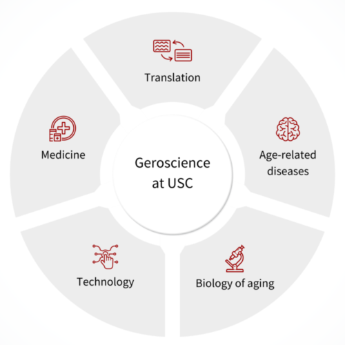 PhD in Geroscience - USC Leonard Davis School of Gerontology Admissions
